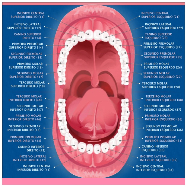Fontes Em Delphi XE4 Do Sistem Software Clinica Odonto - Odontológico ...